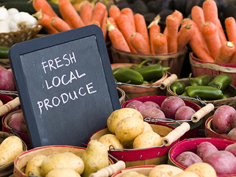 Minaki Regional Activities - Sunset Point Minaki